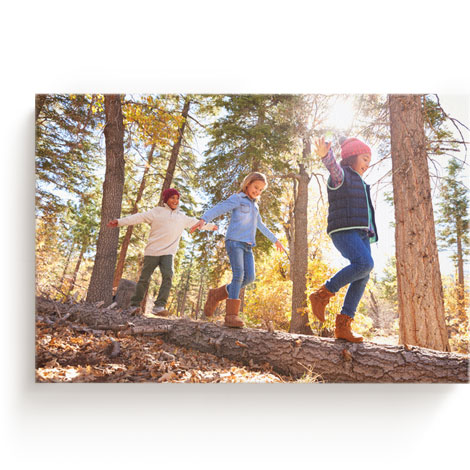 Create 20x30 Photo Canvas Prints | Home + Wall Decor| Snapfish AU