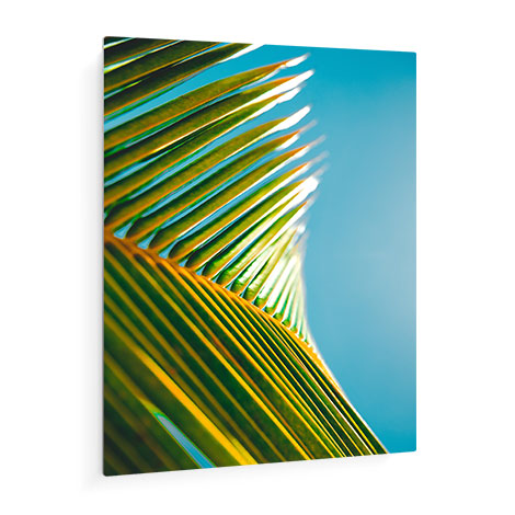 Metal Prints | Aluminum Prints | Snapfish NZ