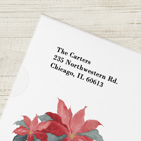 Compare Designs | Seal & Send All in One Photo Cards| Snapfish US